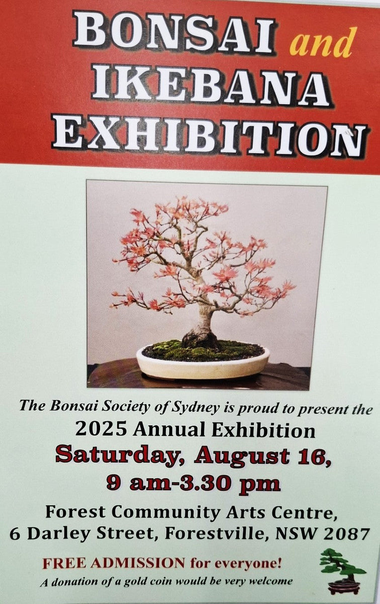Upcoming Bonsai and Ikebana exhibition 2025 – Bonsai Art