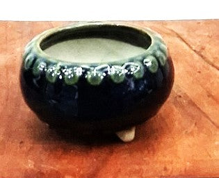 Tokoname shohin Bonsai sho2 – Bonsai Art